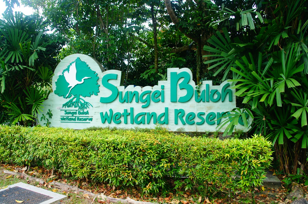 Sungei Buloh Wetland Reserves – PNKids Club
